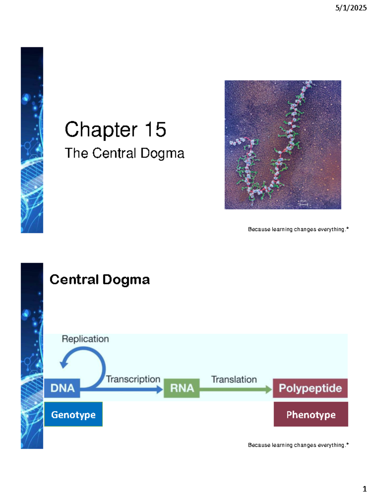 Central Dogma of Molecular Biology: Transcription & Translation ...