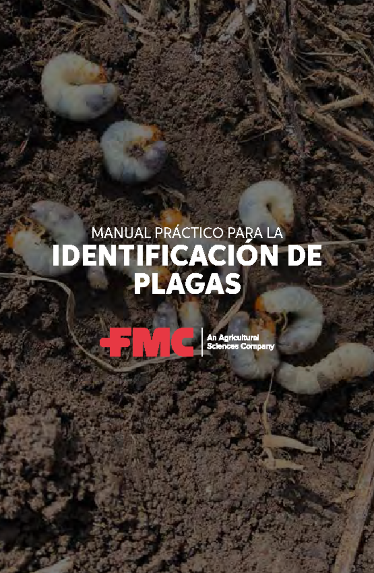 Manual - IDENTIFICACIÓN DE PLAGAS MANUAL PRÁCTICO PARA LA INTRODUCCIÓN ...