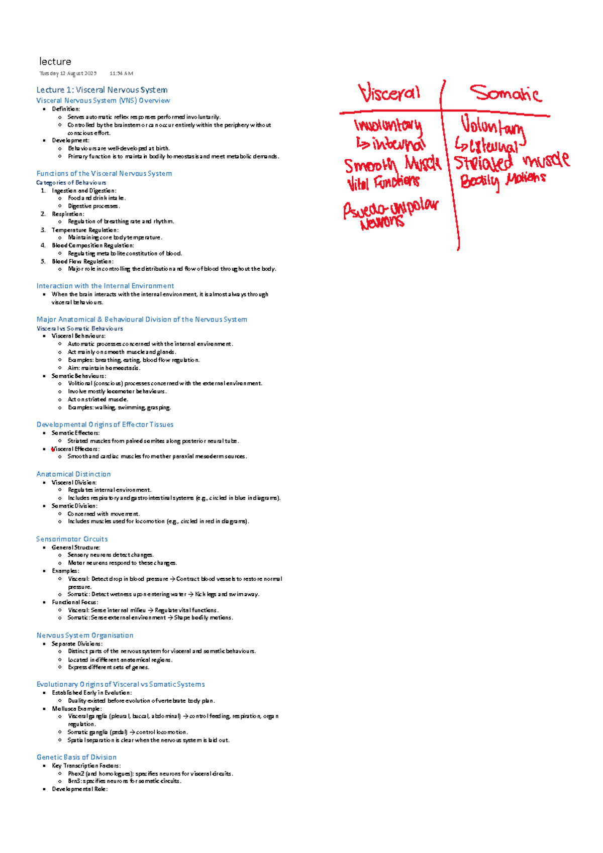 MEDI3300 - Week 2 Lecture: Overview of the Visceral Nervous System ...