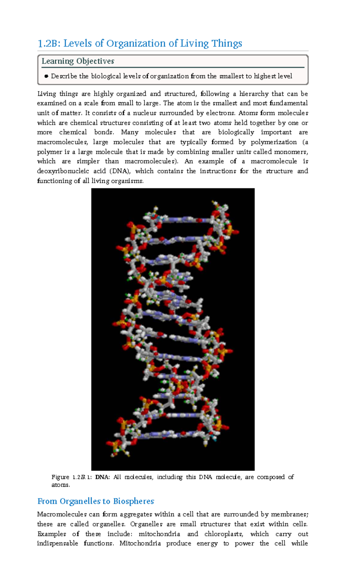 1.2B: Biological Levels of Organization from Atoms to Biosphere - Studocu