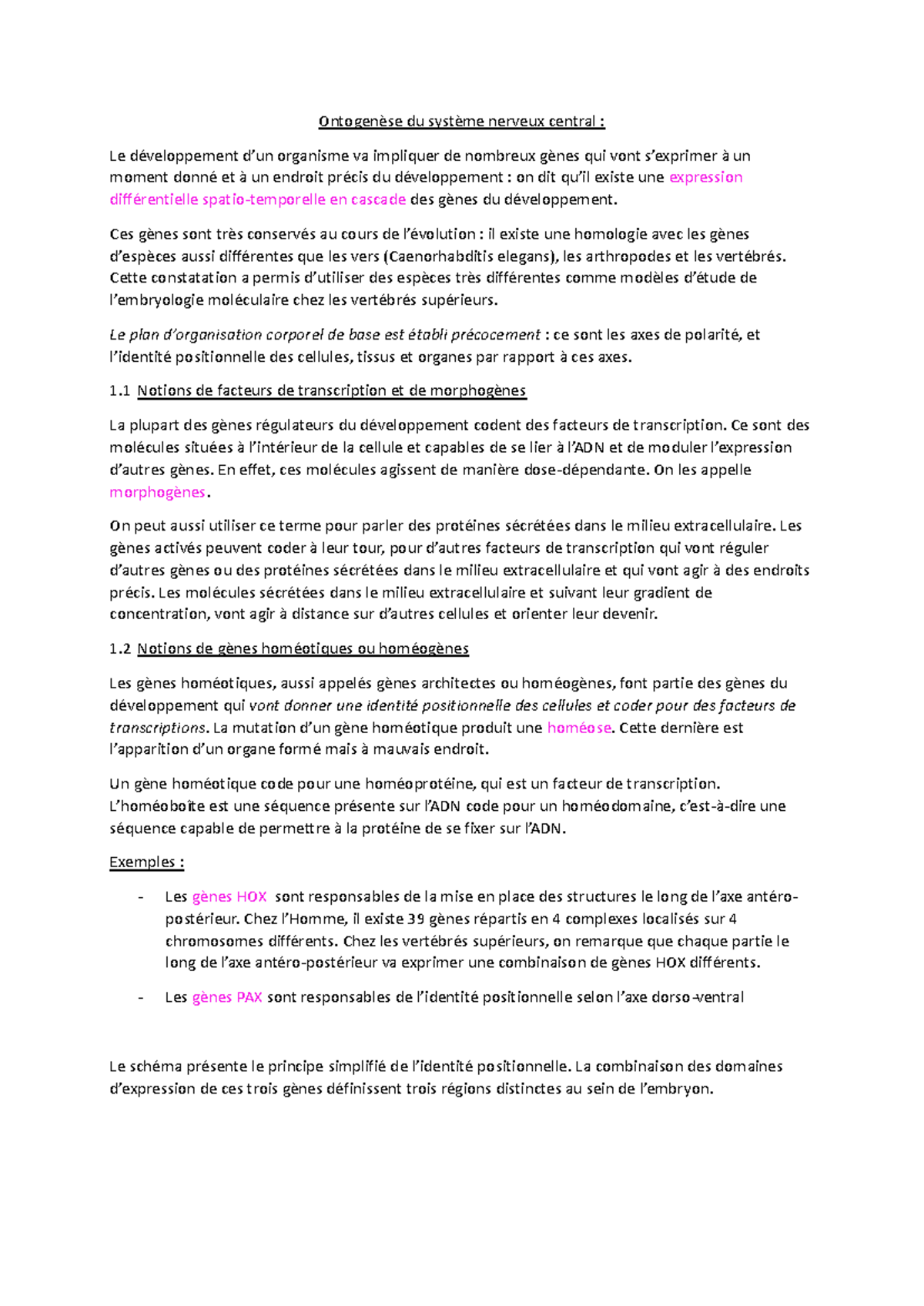 Ontogenèse du système nerveux central : neurulation et développement ...