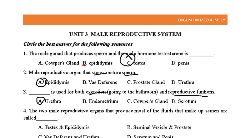 ENGLISH IN MED 4_MS LY UNIT 3 MALE REPRODUCTIVE SYSTEM Quiz - Studocu