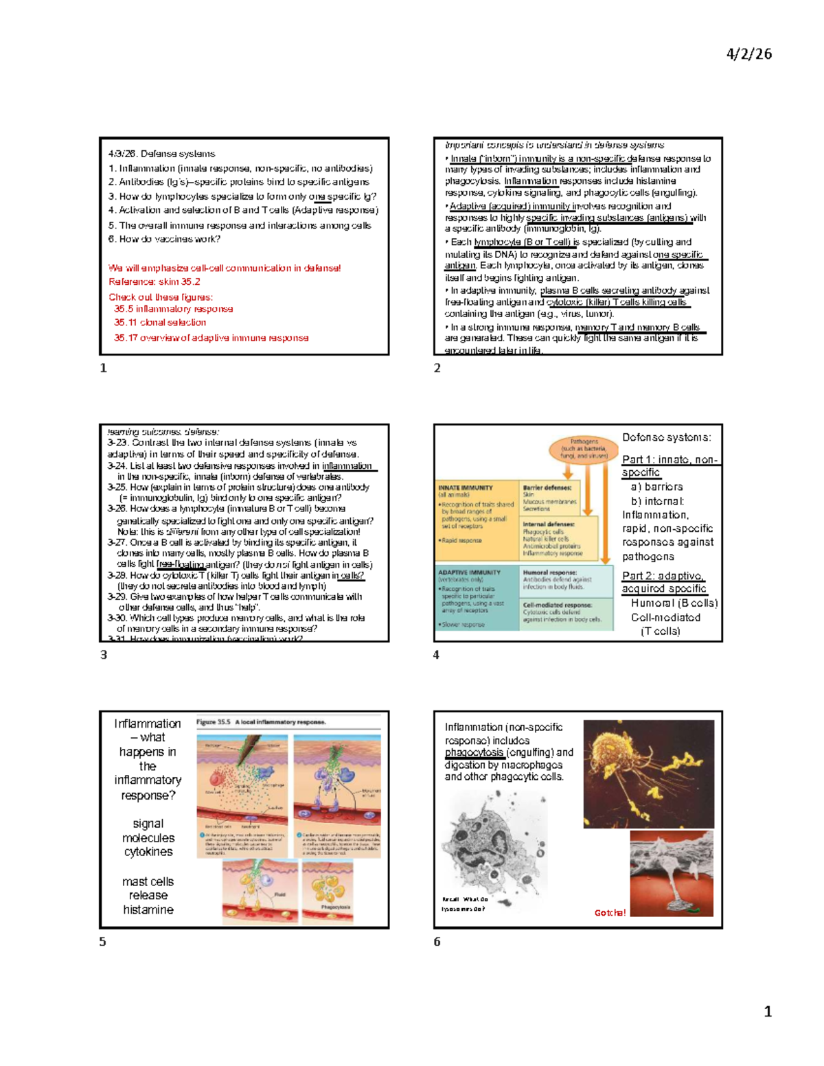 Defense Systems: Innate and Adaptive Immunity Overview - Studocu