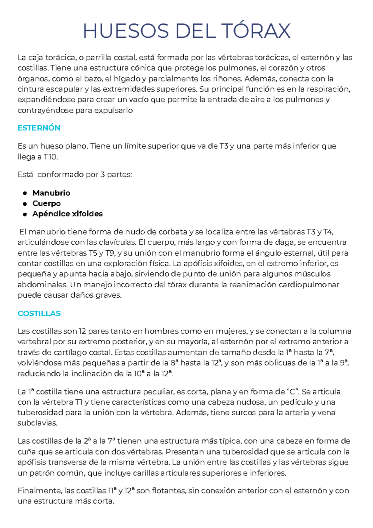 Huesos del Tórax: Anatomía y Funciones del Esternón y Costillas - Studocu