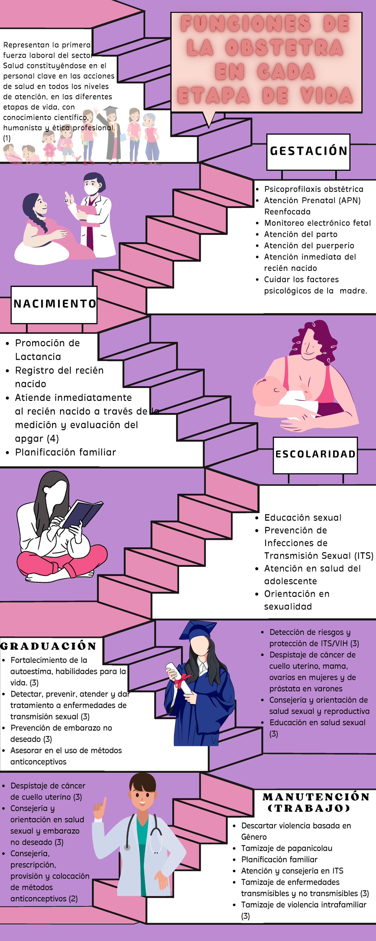Funciones de la obstetra en cada etapa de vida - G E S T A C I Ó N ...