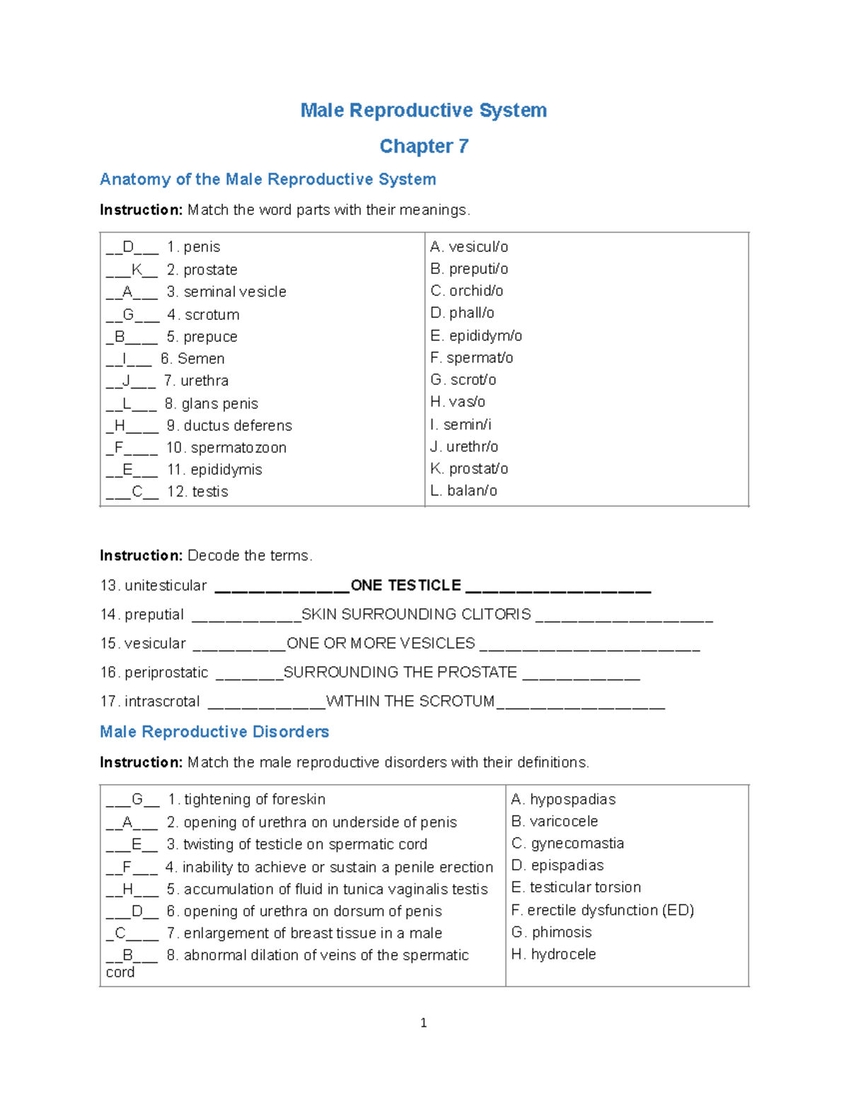 AHP105 Wk6 Male Reproductive System Anatomy and Disorders Study Guide ...
