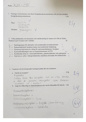Luftvägar - Luftvägar Beskriv respirationssystemet. Uppbyggnad och ...