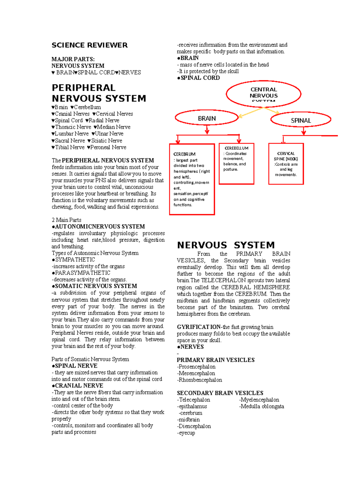 SCIENCE REVIEWER: NERVOUS SYSTEM AND ITS FUNCTIONS - Studocu