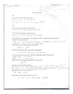 Anatomy and Physiology: Skin Layers and Hair Structure Notes - CHAPTER ...