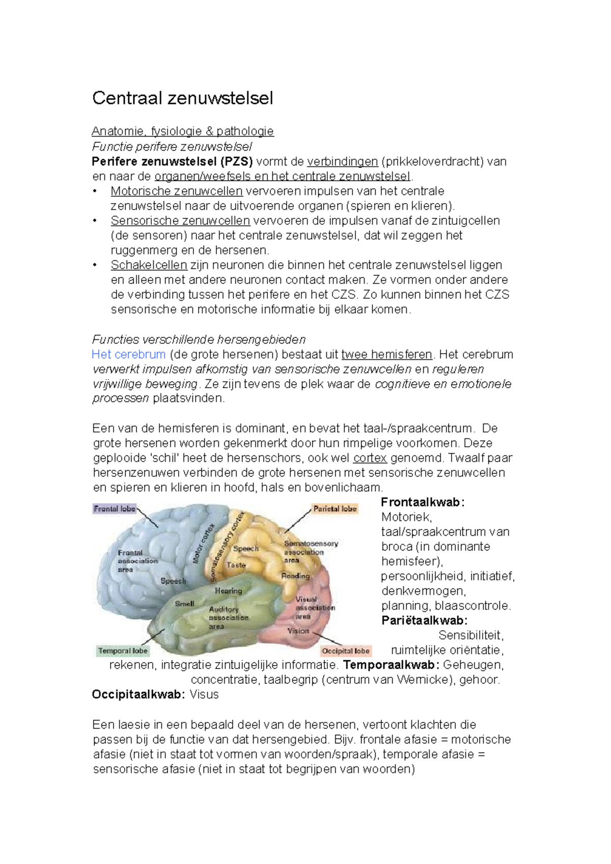 CZS Anatomie en Fysiologie: Functies en Pathologieën van de Hersenen ...