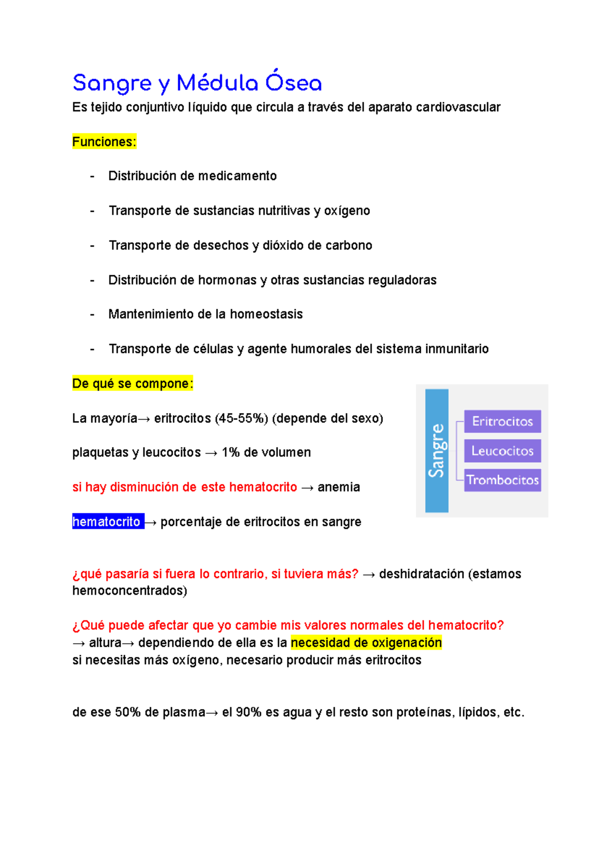 Histología P2: Sangre y Médula Ósea - Funciones y Composición - Studocu