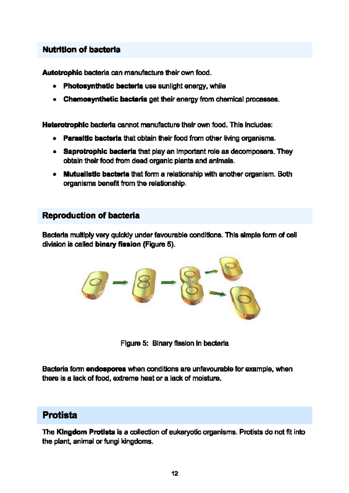 L2w2 - Nutrition and Characteristics of Bacteria and Protista - Studocu