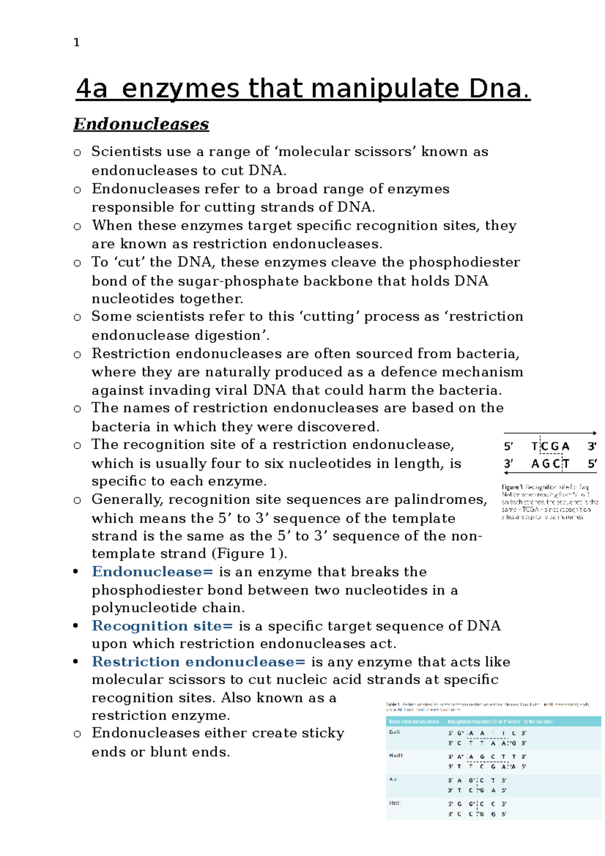 Unit 3 Biology VCE: Chapter 4 Notes on Enzymes, CRISPR, and PCR - Studocu