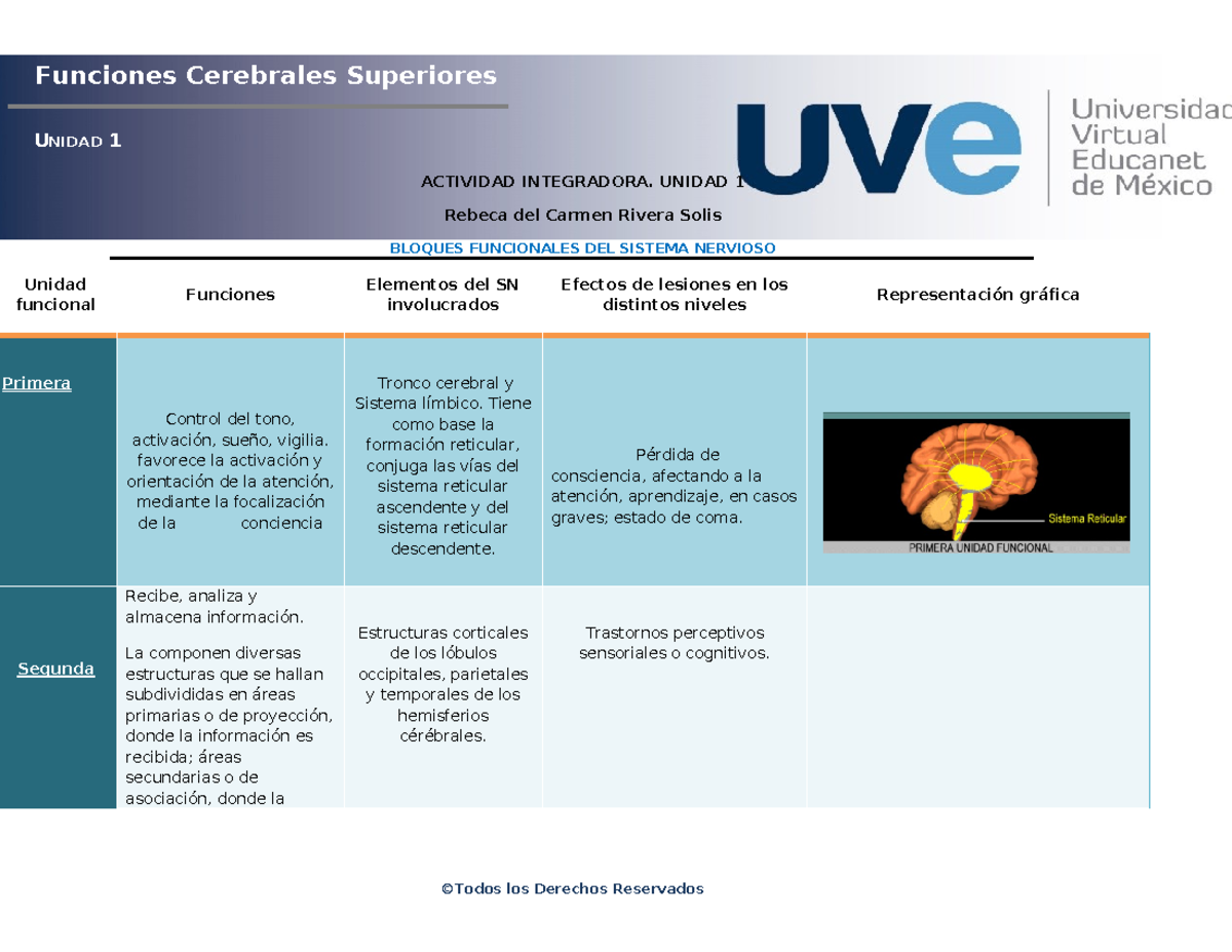 AI1 Funciones Cerebrales Superiores: Bloques Funcionales del SN - Studocu