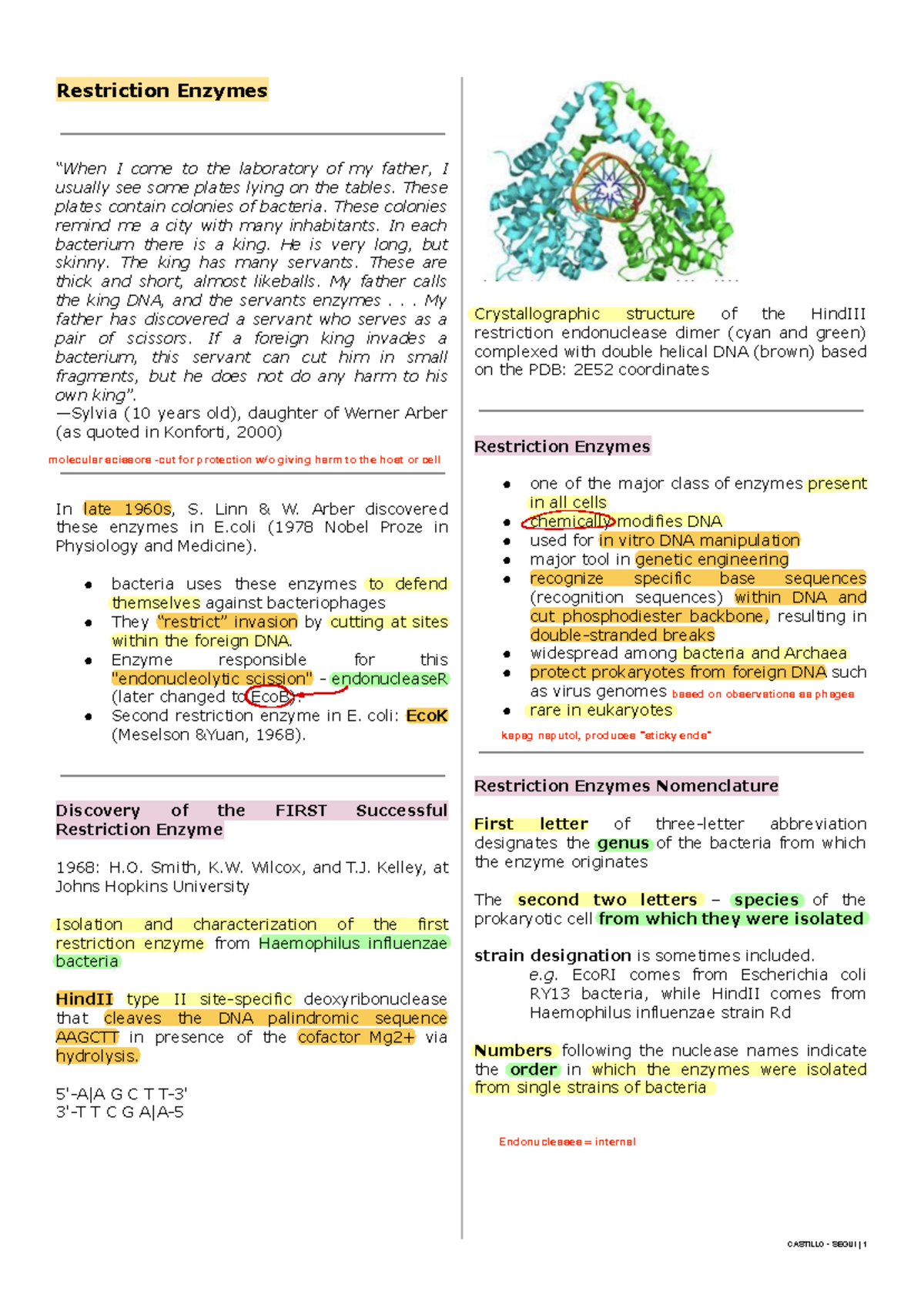 Restriction Enzymes: A Comprehensive Overview for BIO101 Final Exam ...