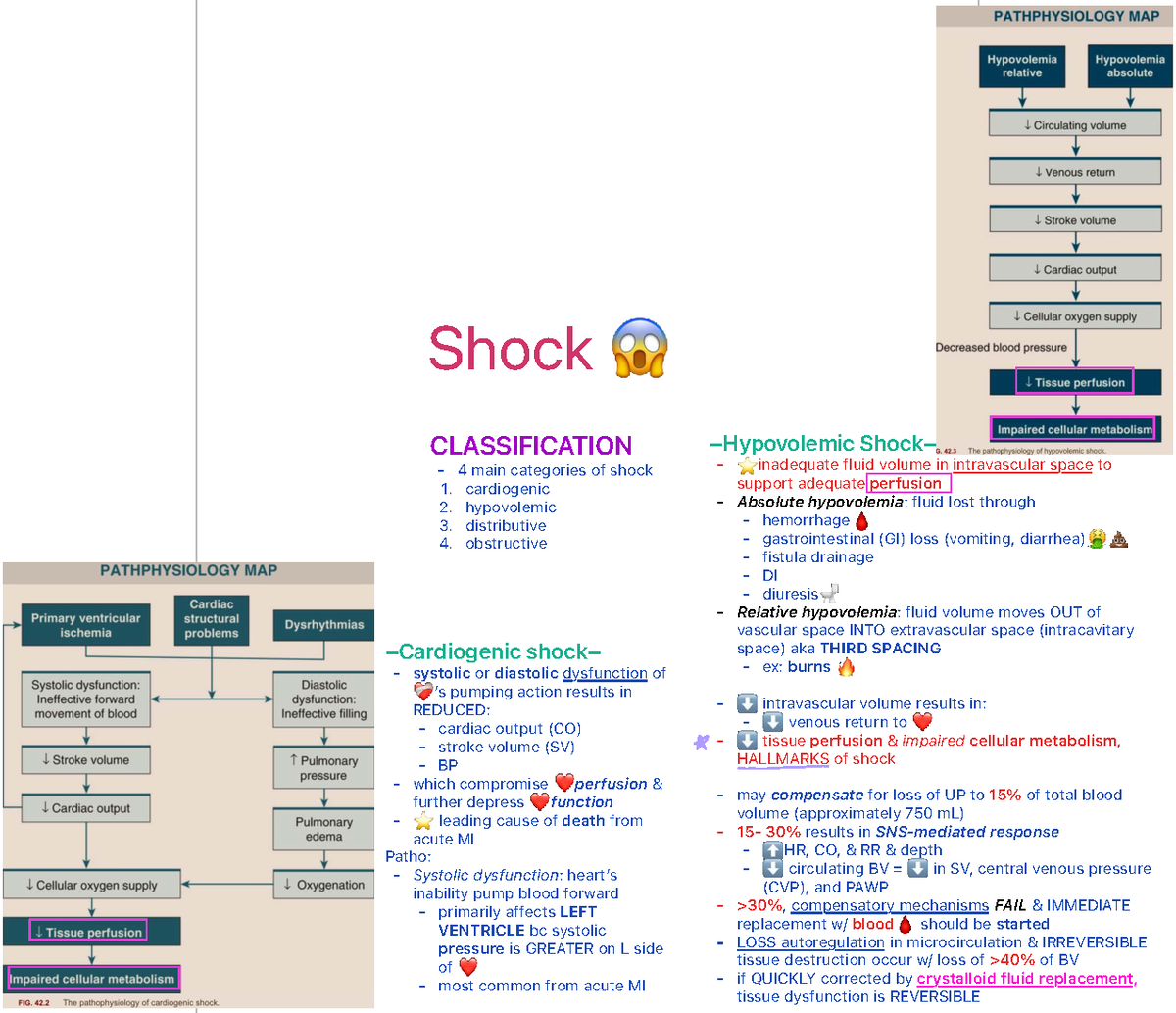 Shock Classification and Pathophysiology Notes (NUR 101) - Studocu