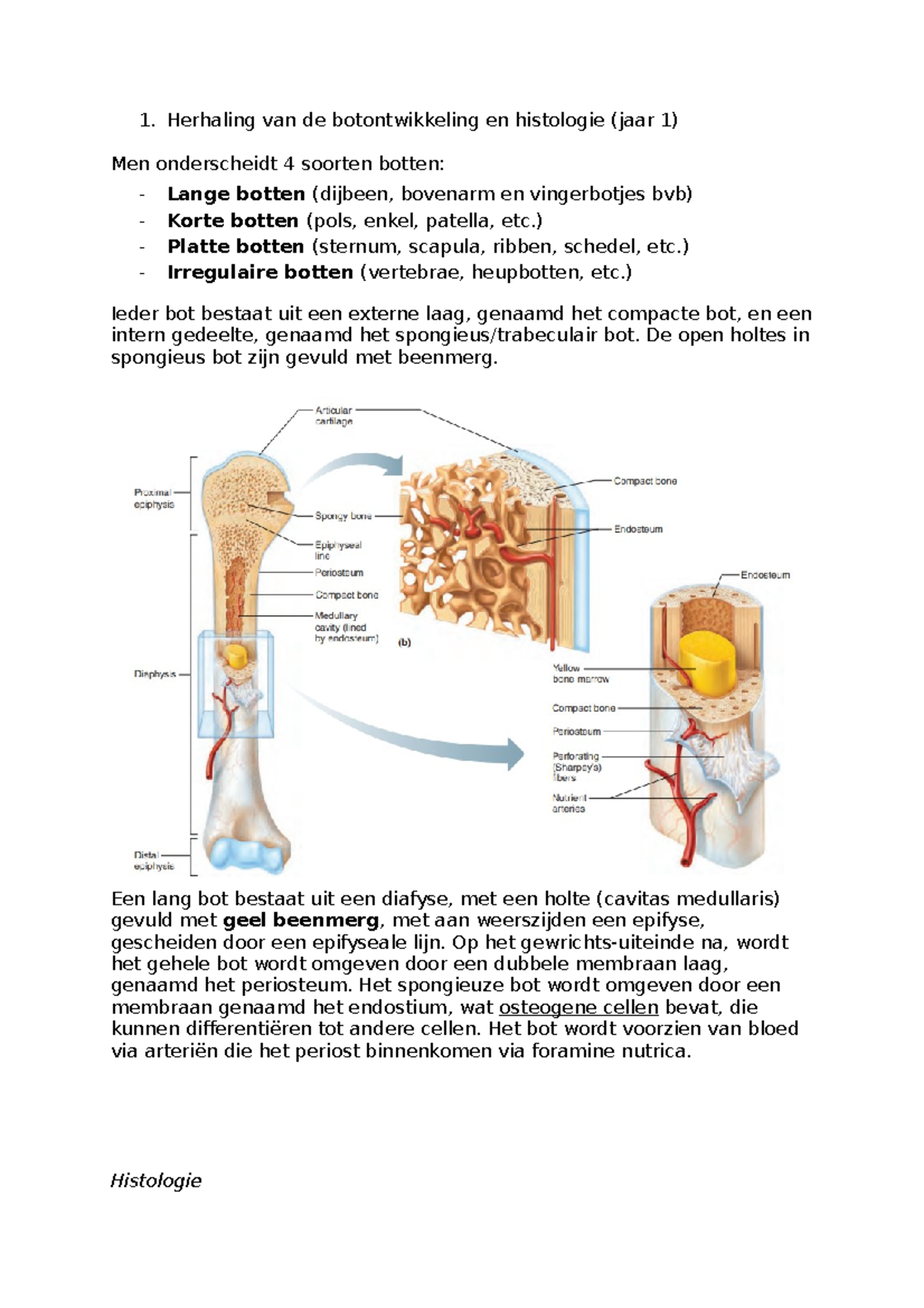 Botontwikkeling en Histologie: Case Study 1 in Anatomie (Jaar 1 ...