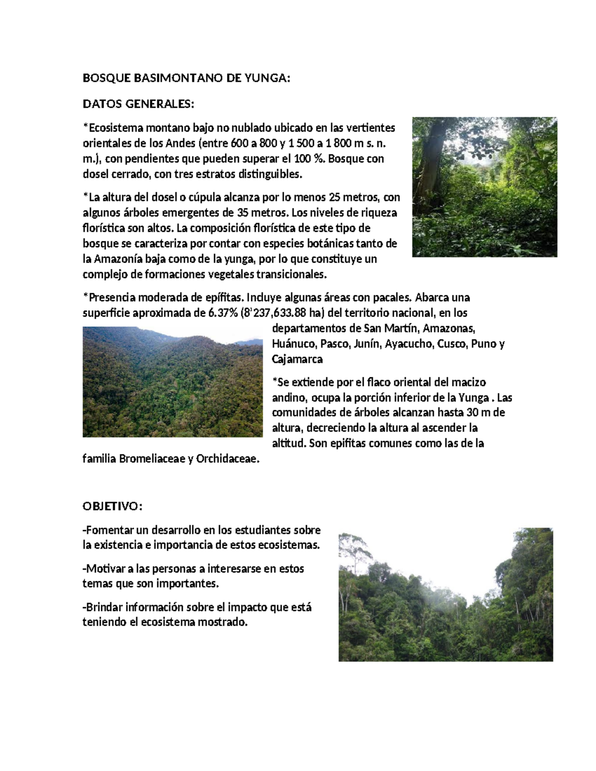 Bosque Basimontano de Yunga: Importancia y Características del ...
