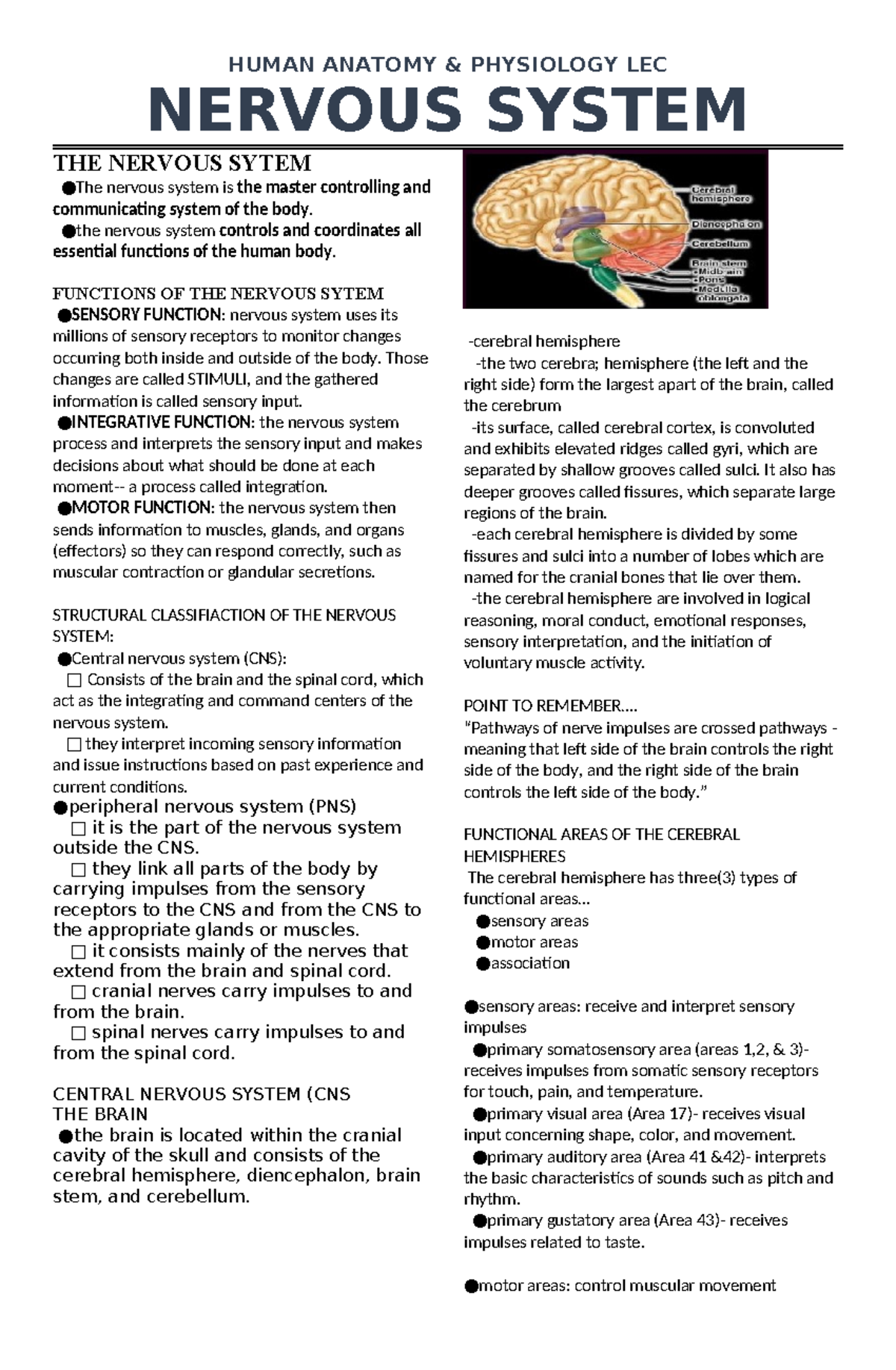 8. HUMAN ANATOMY & PHYSIOLOGY LEC: The Nervous System Overview - Studocu