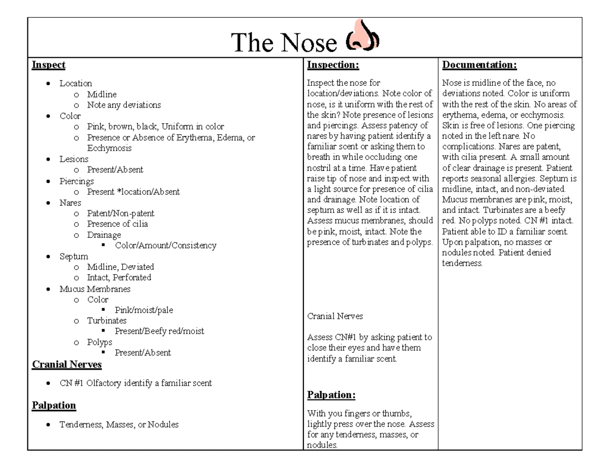 Abdomen Assessment - The Abdc:. Contour o Flat Rounded Scaphoid ...