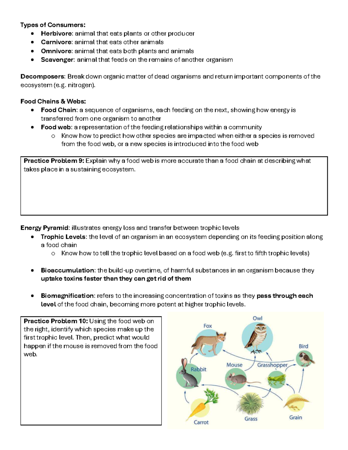 Consumers and Food Chain Review: Types, Relationships, and Impact - Studocu