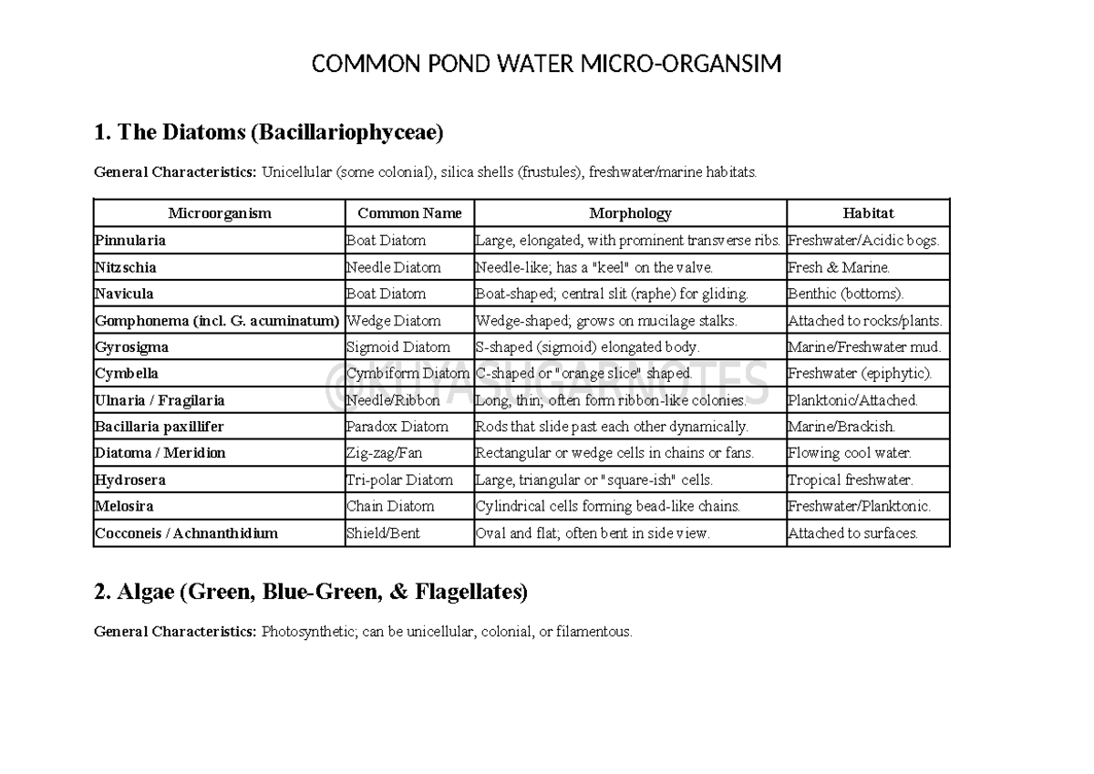 PONDWATER MICROORGANISMS: Diatoms, Algae, and Protozoa Overview - Studocu