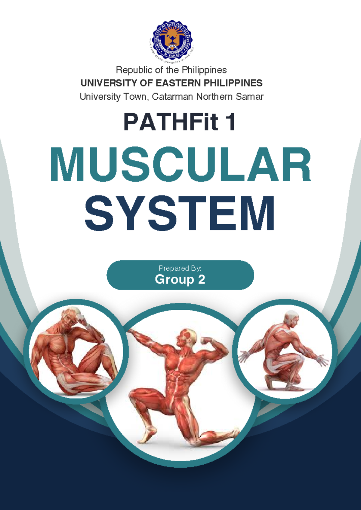 The Muscular System Overview - PHED 101 Group 2 Study Guide - Studocu