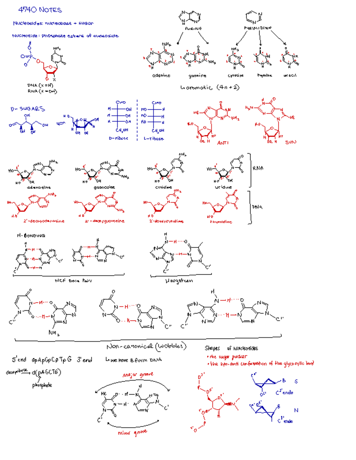 4740Midterm Notes - Summary Topics in Bio-Organic Chemistry - 4740 ...