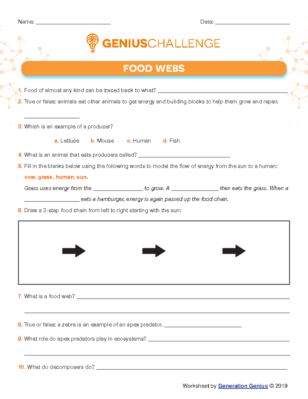 Food Webs Worksheet GG - Understanding Ecosystem Dynamics - Studocu