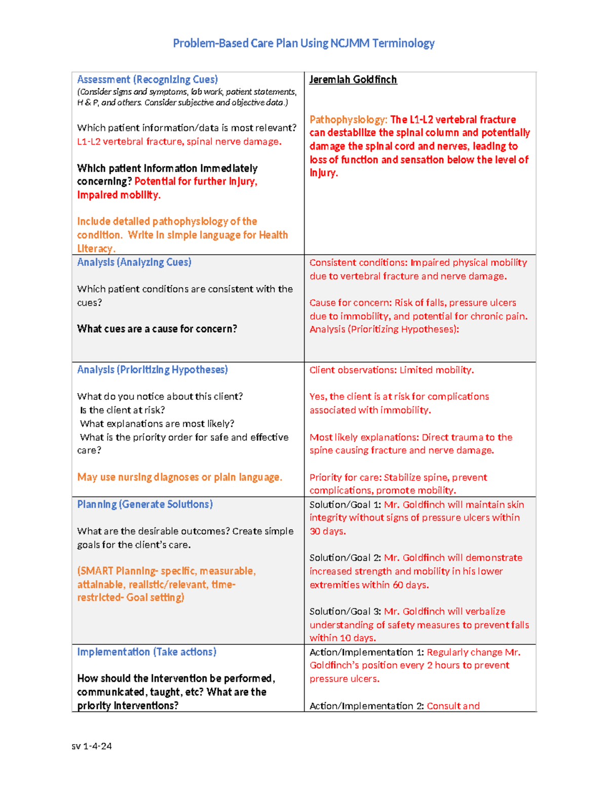 Revised NCJMM Care Plan Template for Spring 2024 - Patient Case Study ...