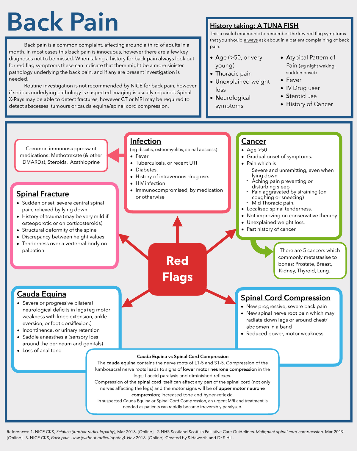 Back Pain Red Flags: Key Symptoms & Diagnosis Guide - Studocu