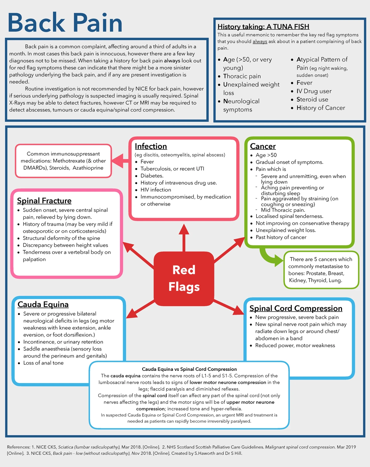 Back Pain Red Flags - Back pain is a common complaint, affecting around ...