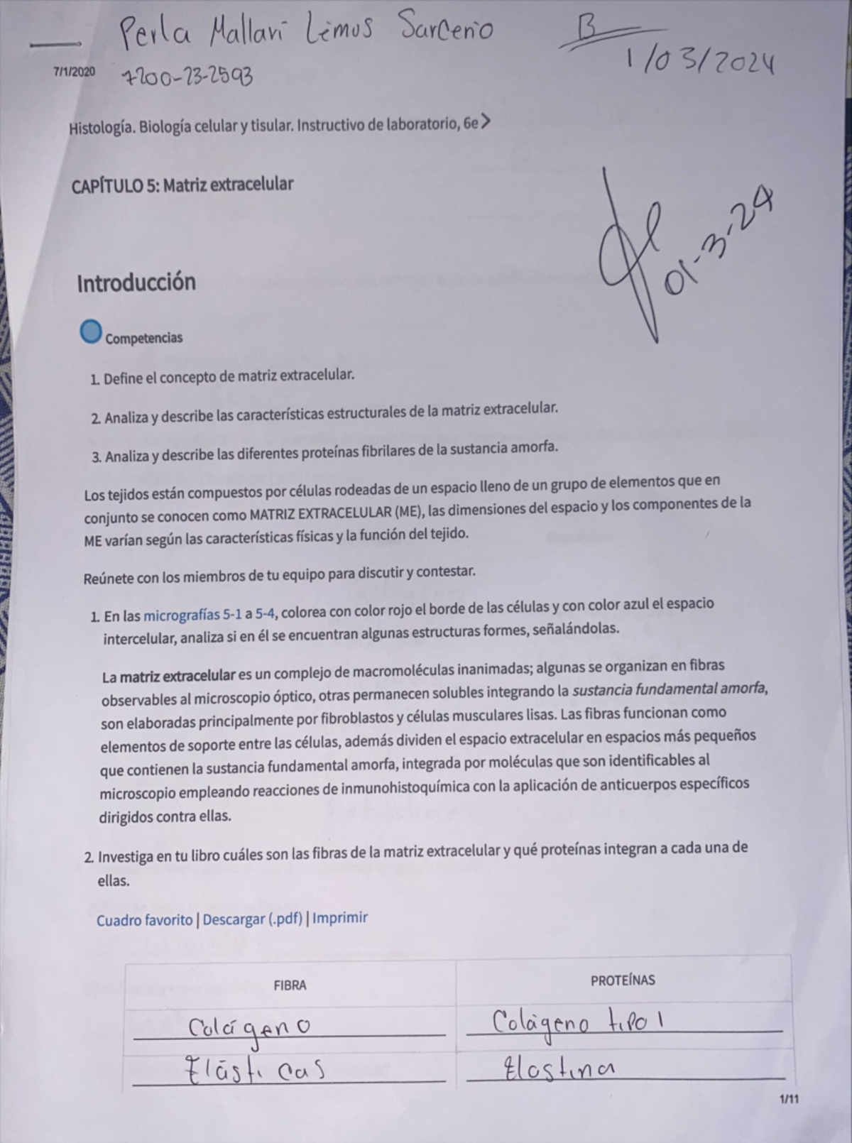 Lab.5 histo y 8 - Perla Mallari lemus Sarcerio B Histología. Biología celular y tisular ...