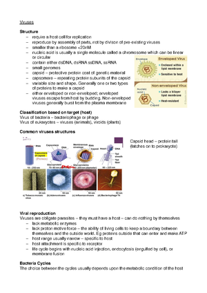 Cell Biology Quiz L2-L9: Scientific Method & Cell Theory Insights - Studocu