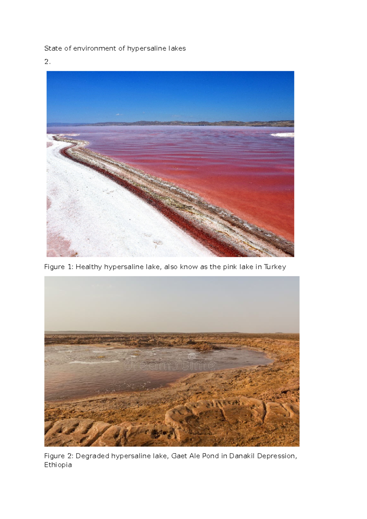 State of Environment of Hypersaline Lakes: Health & Conservation ...