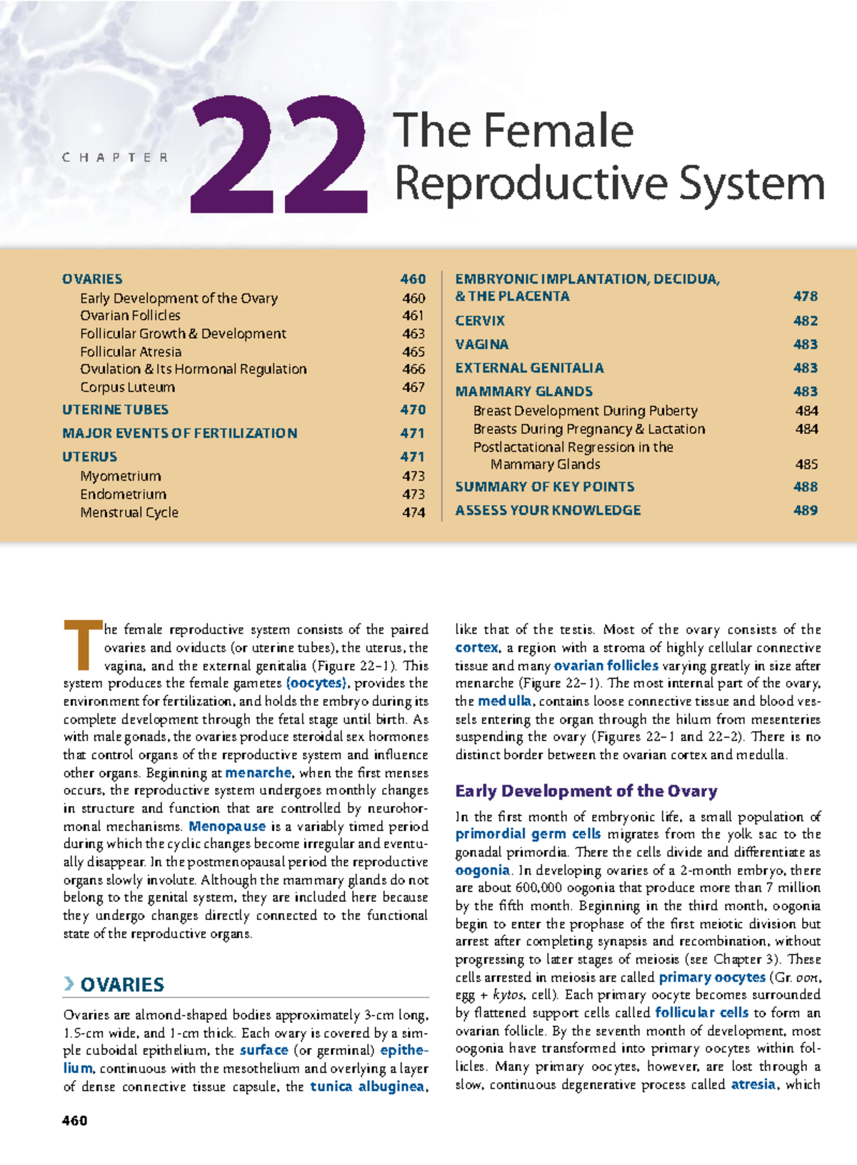 Chapter 22 Female Reproductive System - 460 T he female reproductive ...