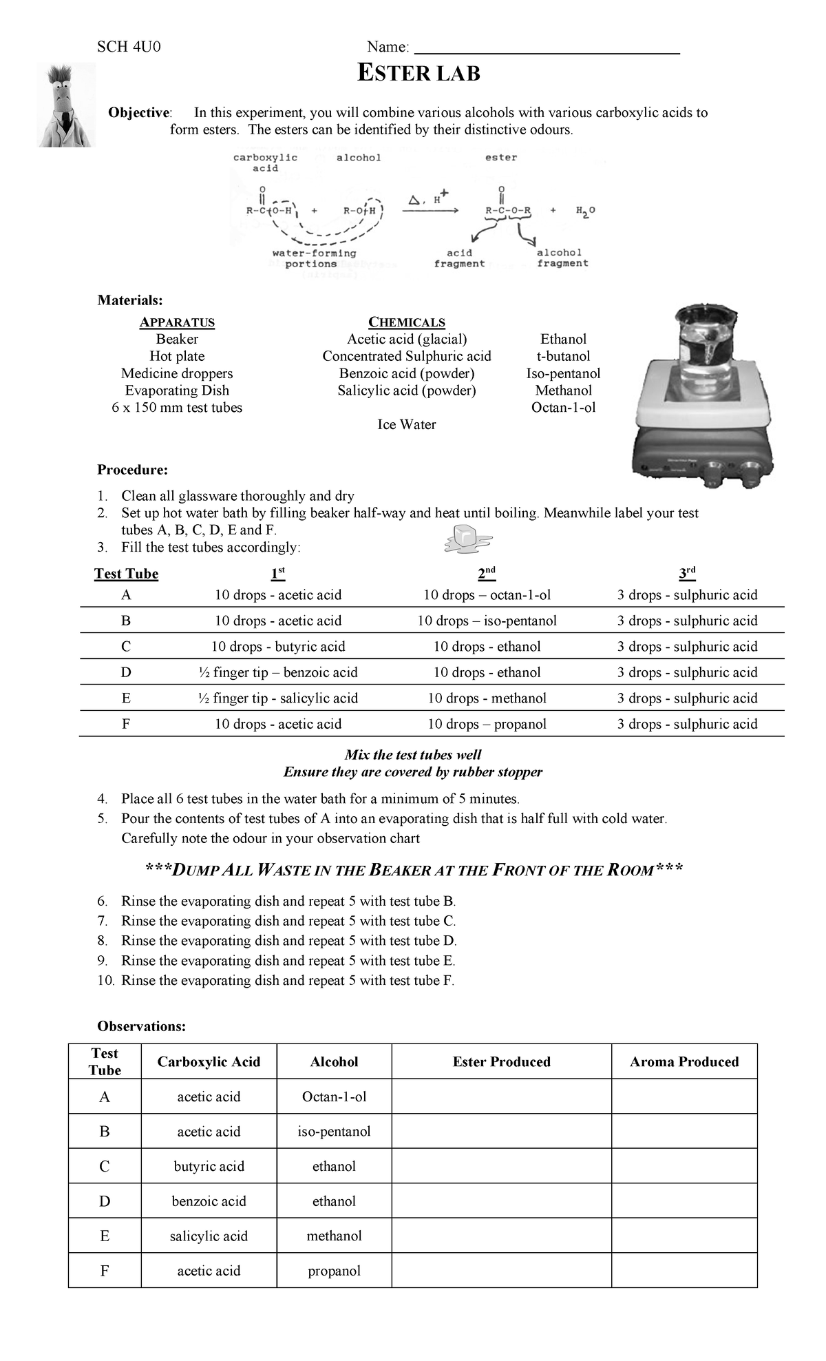 Ester Lab Experiment (SCH 4U0) - Procedure & Observations Guide - Studocu