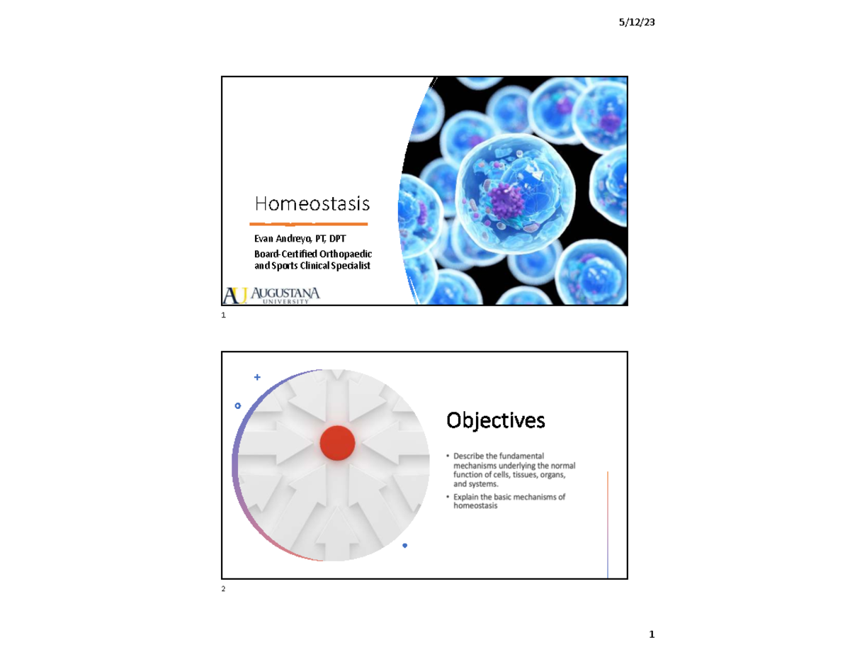 Homeostasis and Disease: Understanding Internal Control Systems ...