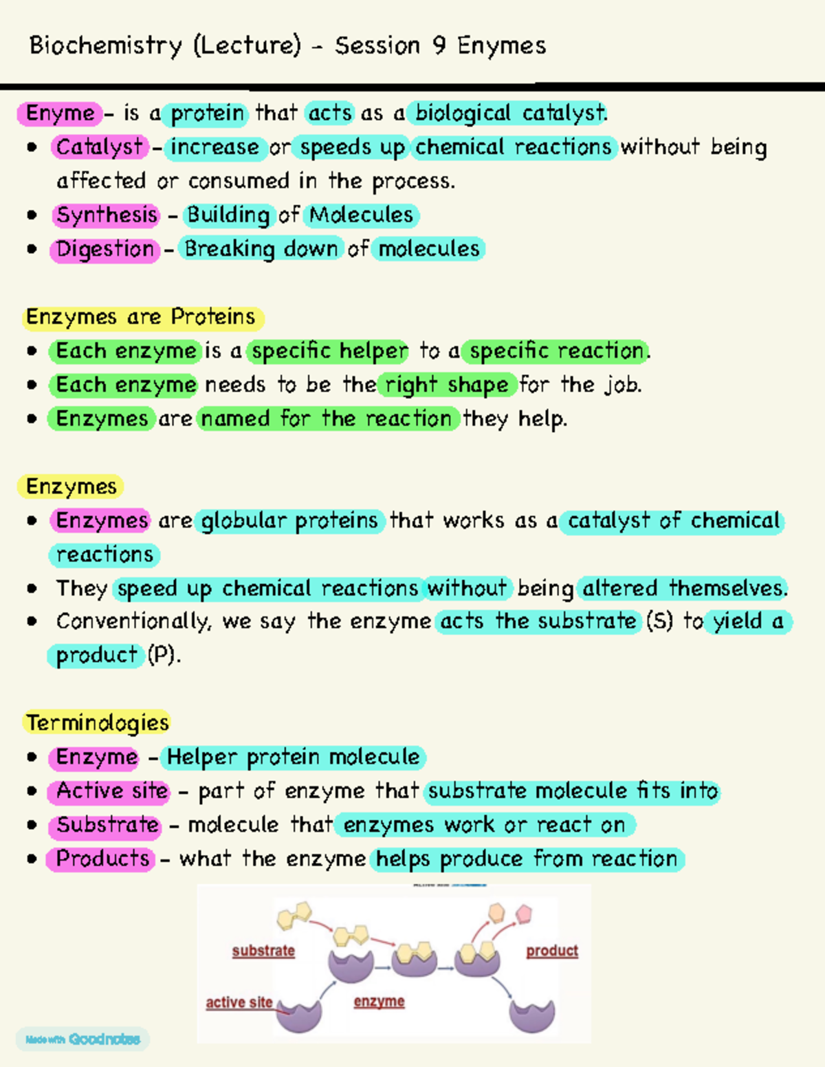Enzymes-Lesson-9 - Lesson - Biochemistry (Lecture) - Session 9 Enymes ...