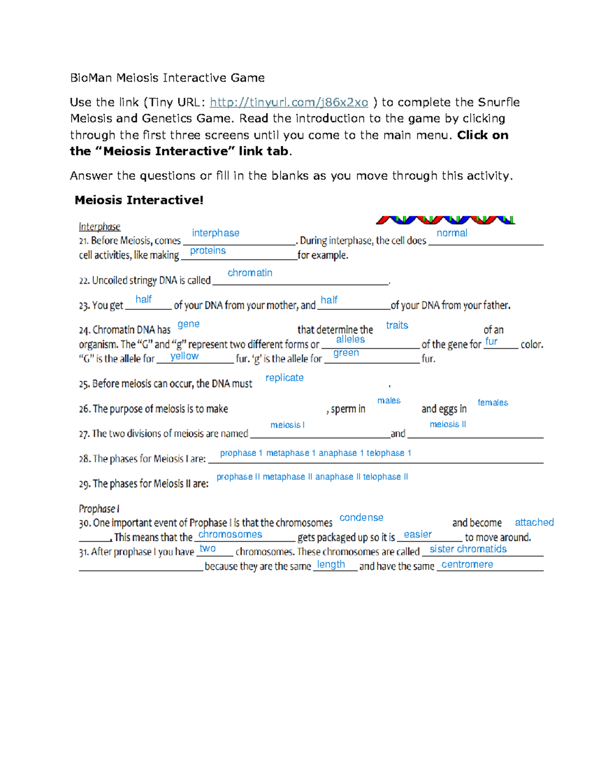 Bio 101 Meiosis Interactive Review: Game Instructions and Insights ...