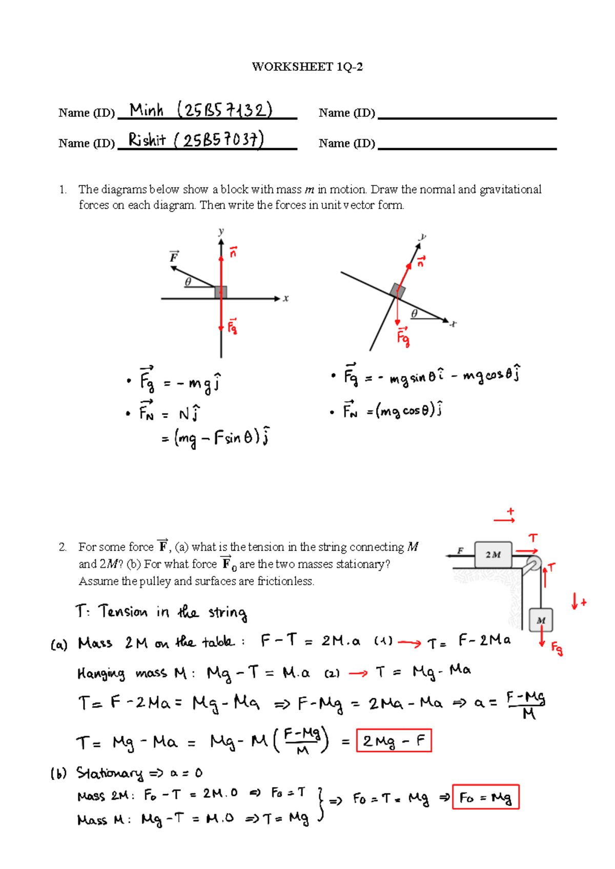 Physics 101: Worksheet on Forces and Tension Analysis - Studocu