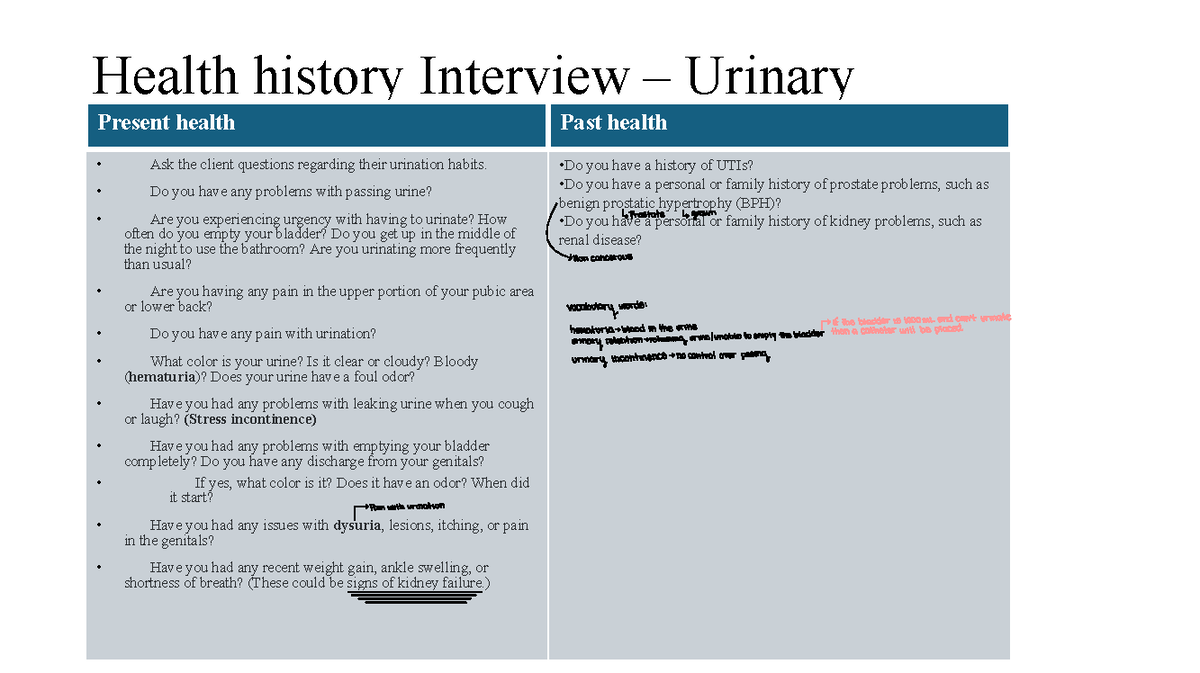 NURS312: Health History Interview on Urinary Health Assessment - Studocu