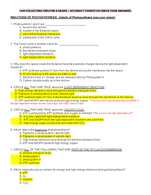 Bumetanide (Bumex) - Medication card- Nursing - ACTIVE LEARNING ...
