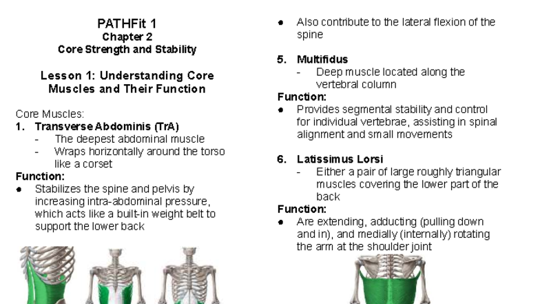 PATHFit 1 Chapter 2 Core Strength and Stability Overview - Studocu