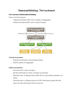 [Solved] medulla spinalis anatomiska och fysiologiska indelning i olika ...
