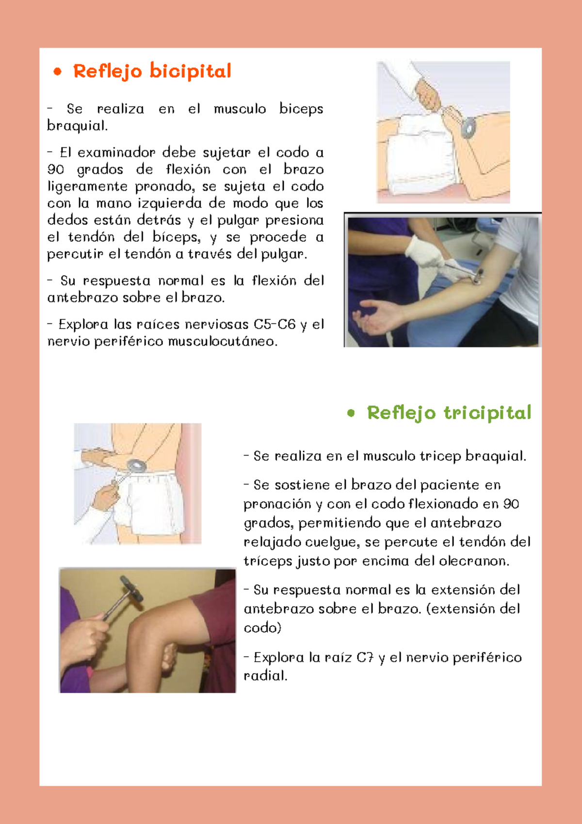 Reflejos osteotendinosos- Nicole Gorena - Reflejo bicipital Reflejo ...