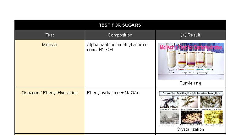 Biochem LAB EXP 3: Tests for Sugars and Reducing Sugars - Studocu