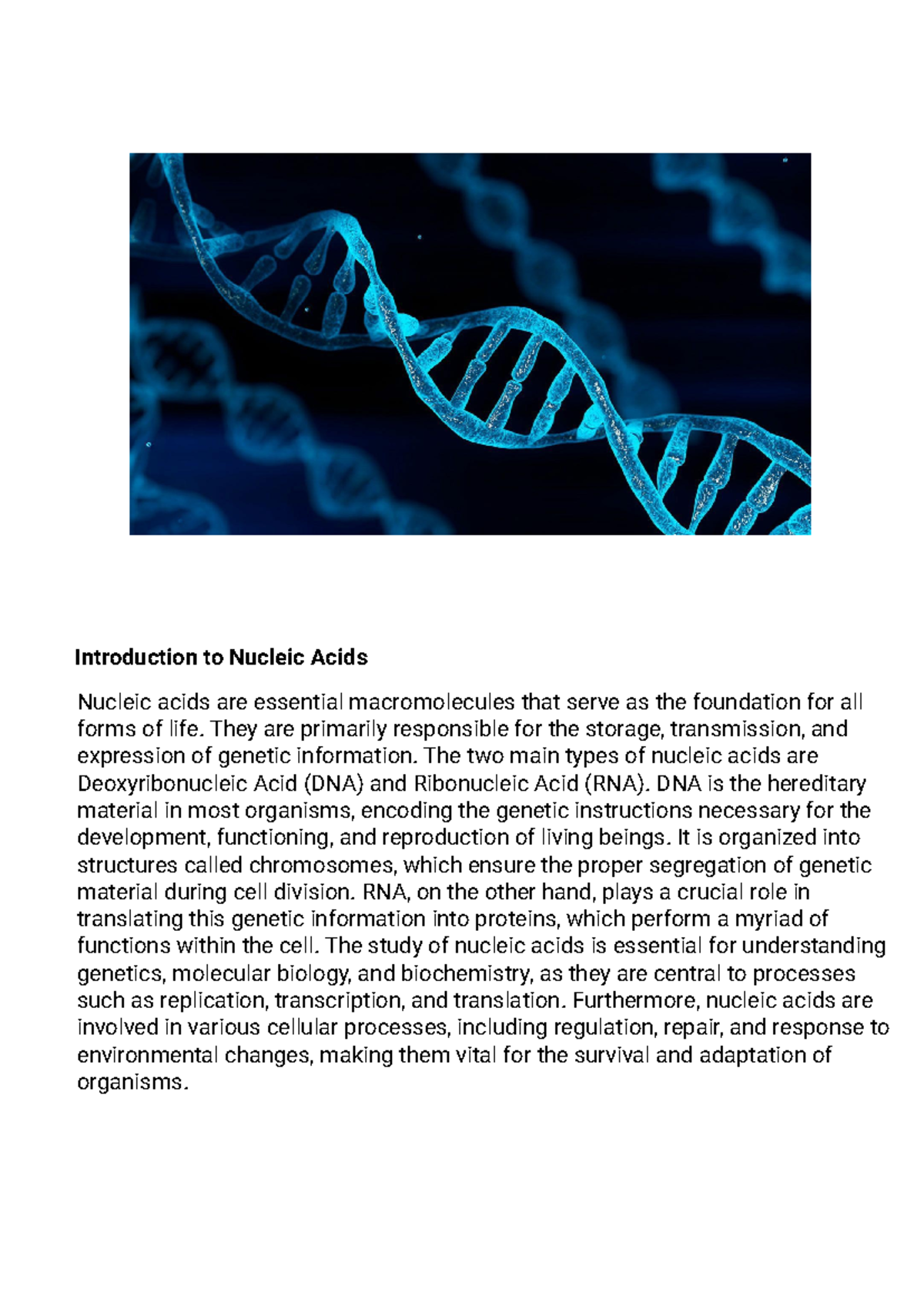 Nucleic Acid Study - Class 12 Assignment on DNA and RNA Functions - Studocu