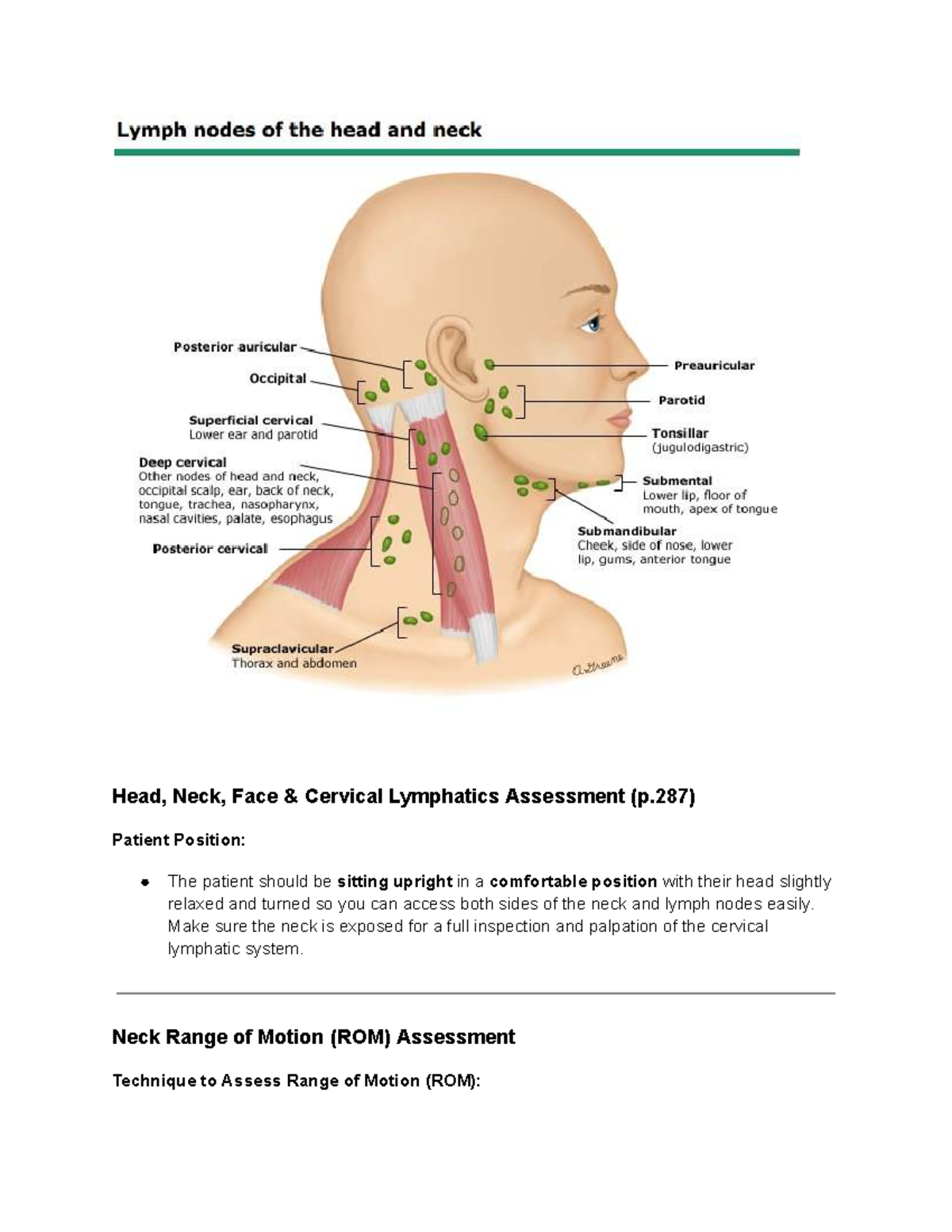 Cervical Lymphatics Assessment Techniques & Findings (p.287) - Studocu