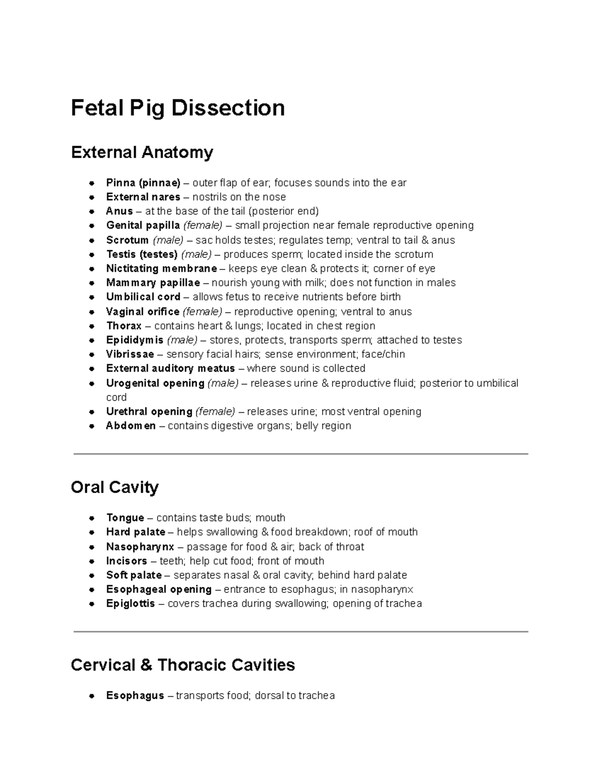 BIO 101: Fetal Pig Dissection - External Anatomy Overview - Studocu